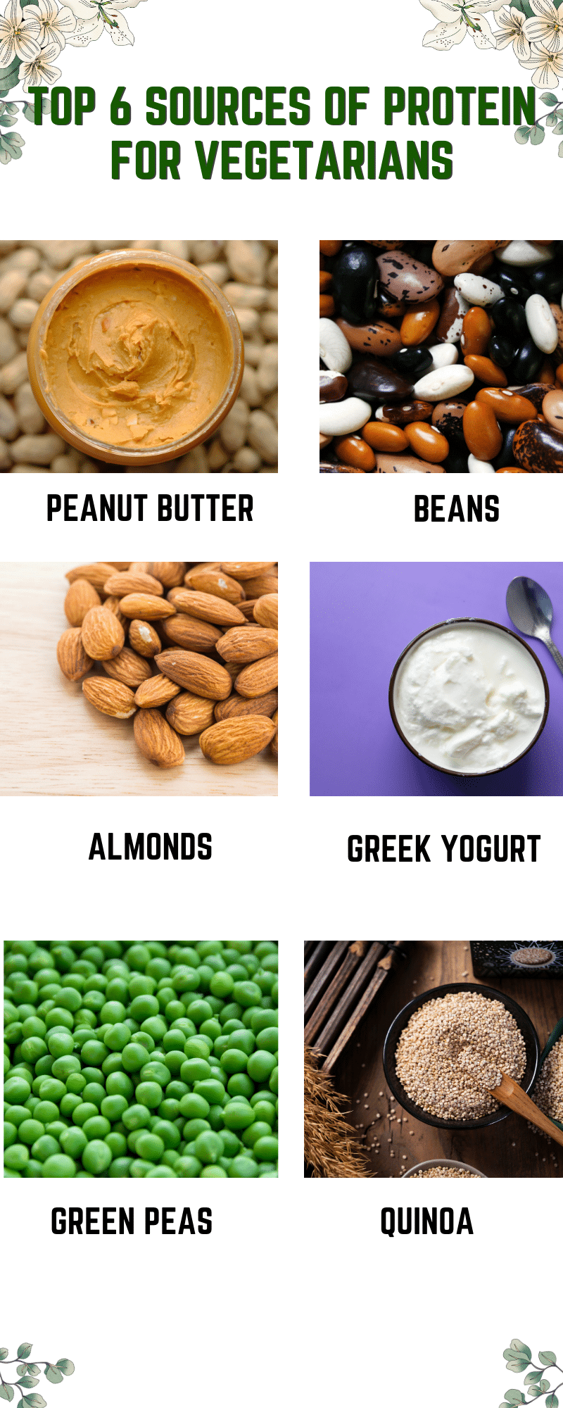 Top 6 Sources Of Protein For Vegetarians