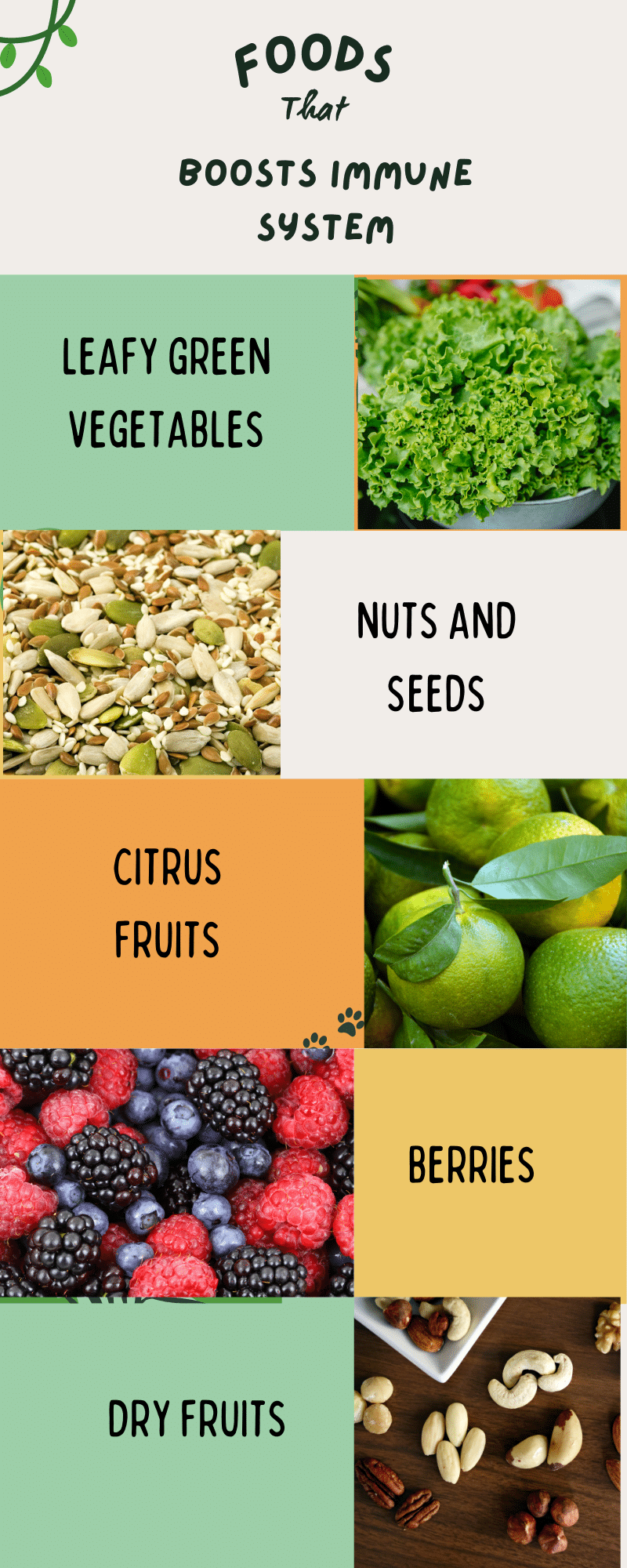 List Foods That Boost Your Immune System